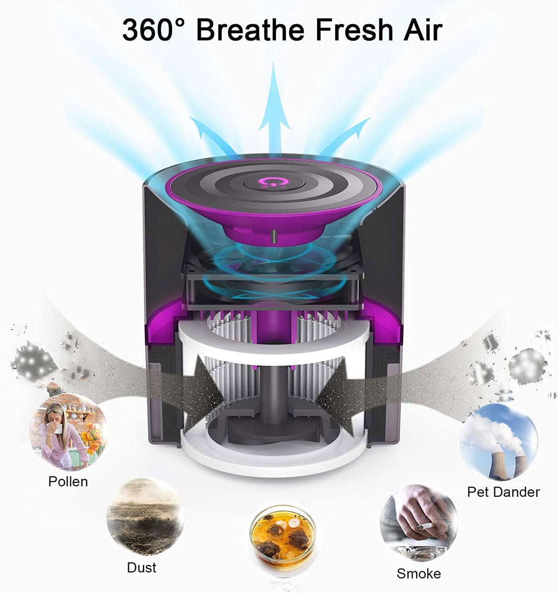 MEGAWISE EPI810 Desktop Air Purifier, True HEPA Filter Air Cleaner Upd ...